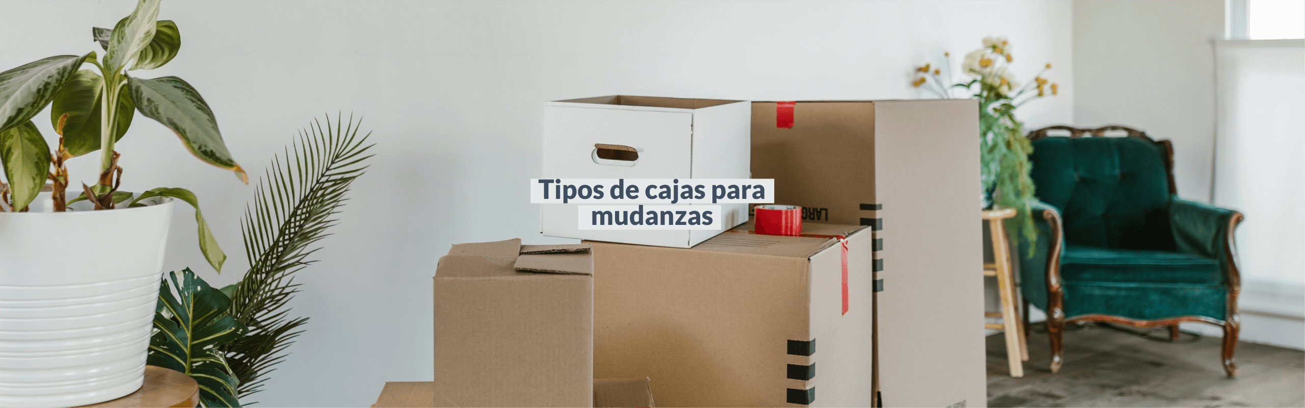 Tipos De Cajas Para Mudanzas Fretbay Blog Conseils Déménagement Et